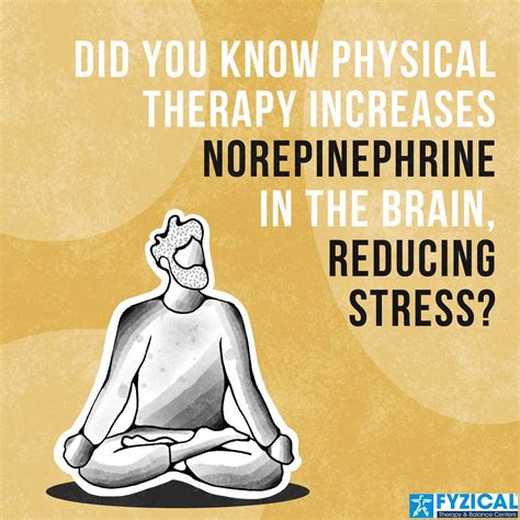 Stress Physicaltherapy Phily Philip
