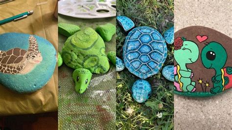 5 Tortoise Shell Problems And Way To Treat Them The Turtle Hub