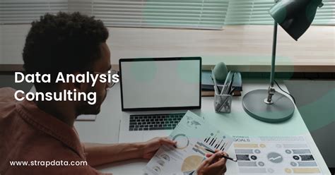 Data Analysis Consulting