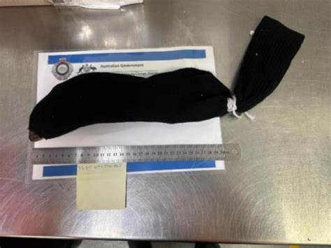 Qinyu Han Of Point Cook Attempts To Export Shingleback Lizards Overseas