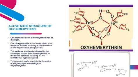 Hemerythrin And Hematinpptx Solidarityy Ppt