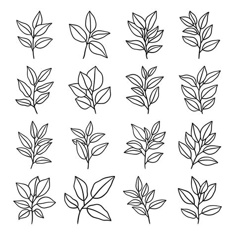 Premium Vector Set Of Branch And Leaves Vector