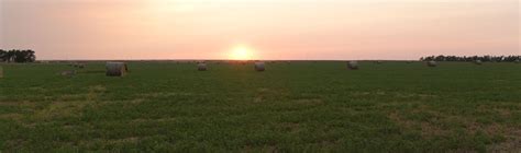 Todd Bigbee Whitetail Properties