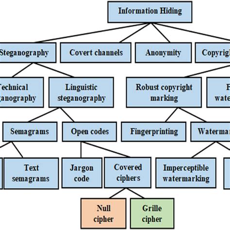 Information Hiding Classification Adapted From Bauer 6 Download