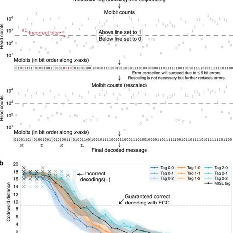 Molbit Design Scheme A Molecular Bit Molbit Structure The Molbit Download Scientific Diagram