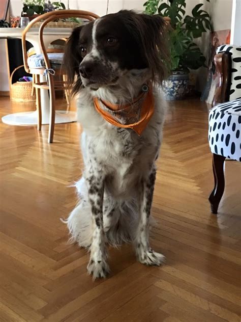 The Life Of Captain Chip Added The Life Of Captain Chip