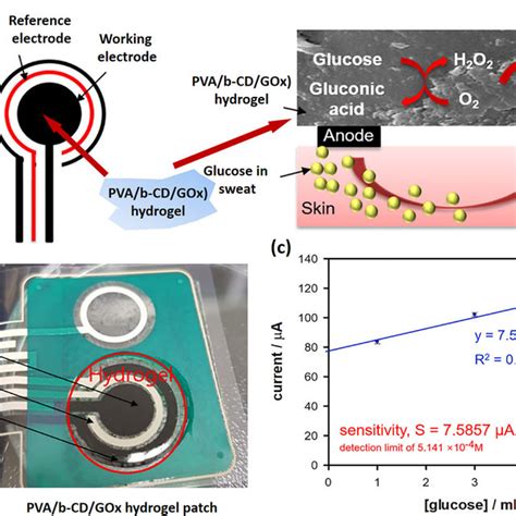 Oral Insulin Delivery Systems A Fabrication Of Semi Ipn Hydrogel Using
