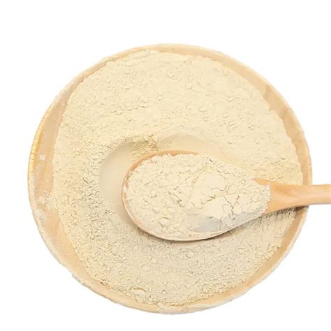 Yeast Mycelium Exploring The Potential Of Fungal Fermentation