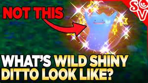What Does Wild Shiny Ditto Look Like In Pokemon Scarlet And Violet
