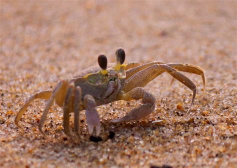 Walk My Way Photograph By Aaron Flook Fine Art America