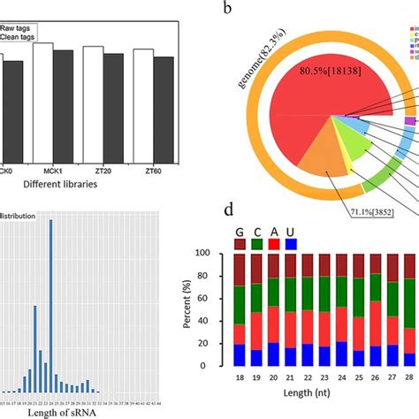 The Detailed Information Of Mirnas Sequenced By Rna Seq Technology A