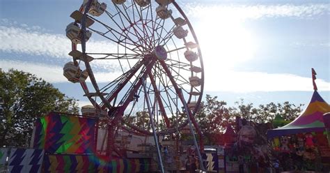 Napa Valley Expo Cancels Town And Country Fair May Move Livestock