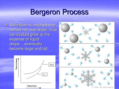 Where Does The Bergeron Process Occur At Everett Reynolds Blog