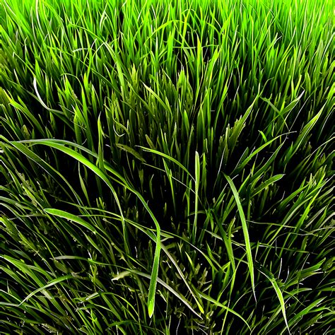 Download Soft Green Grass Texture Png Mst