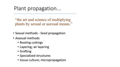 Seed Propagation In Plants Pptx