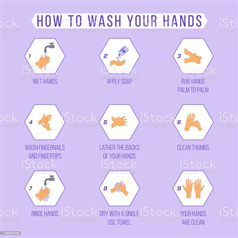 Educational Infographic On Personal Hygiene Stock Illustration
