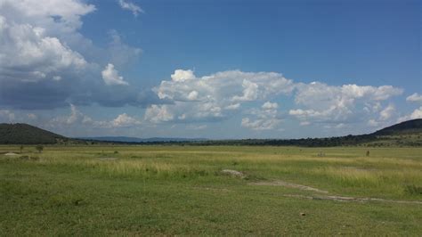 Biodiversity Articles A View From The South