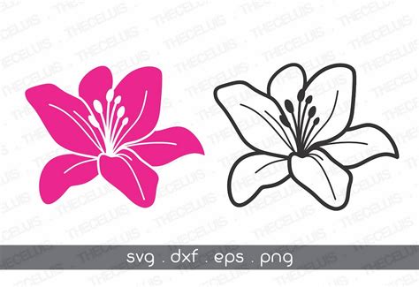 Lily Flowers Outline And Silhouette Vinyl Cutting File Svg Etsy