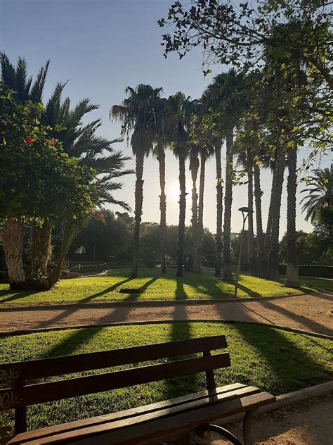 Park Palm Trees Nature Free Photo On Pixabay Pixabay