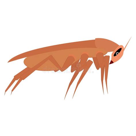 Brown Long Cockroach Side View Template Part For Design Isolated