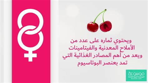 فوائد حب الملوك للجنس والصحة فوائد الكرز الصحية Youtube