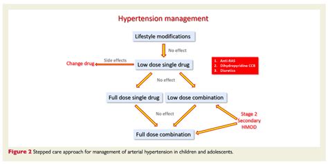 儿童和青少年高血压的诊断和治疗共识 知乎