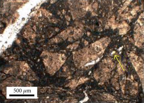 Photomicrographs Of Fracture Systems A Brecciated Texture Of