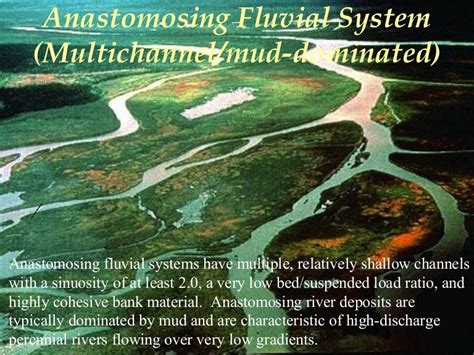 Anastomosing Fluvial Systems