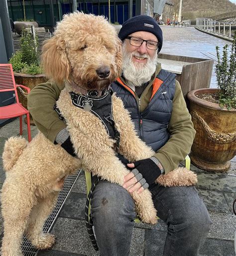 Couple Who Thought They Bought Cockapoo Puppy Discover It Is Actually A