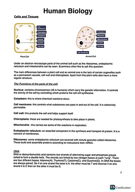 Solution Edexcel Igcse Human Biology Notes Studypool