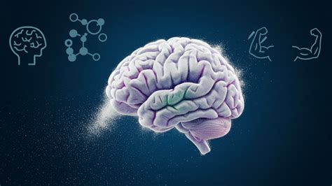 Creatine Fueling Brain Muscle And Metabolic Health