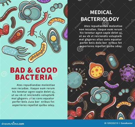 Bacteria Posters For Medical Bacteriology Or Virus Infographics Vector