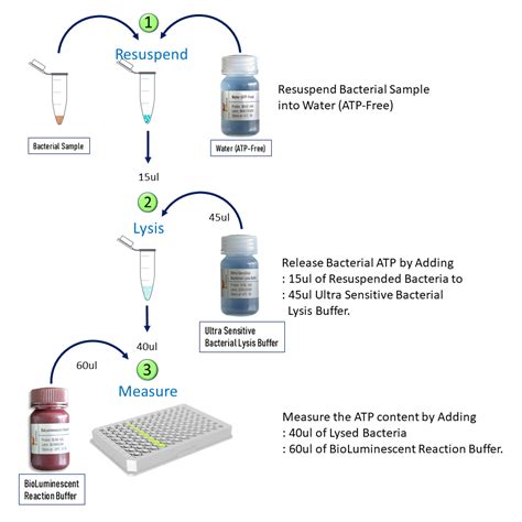 Codonica Bioluminescent Atp Assay Kits Fast And Affordable
