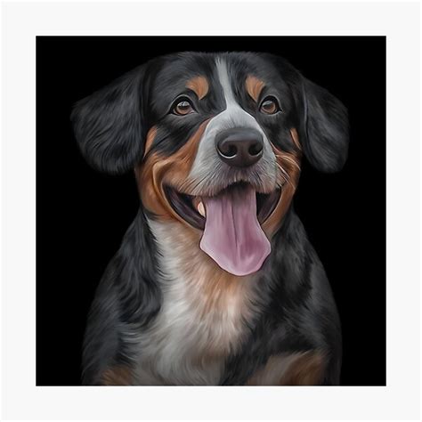 Entlebucher Sennenhund Zeichnen Fotodruck Von Bonidog Redbubble