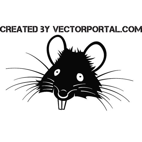Rat Image Royalty Free Stock Svg Vector