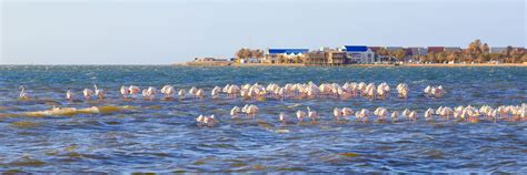 Visit Walvis Bay On A Trip To Namibia Audley Travel