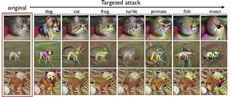 Robustness Beyond Security Computer Vision Applications Gradient Science