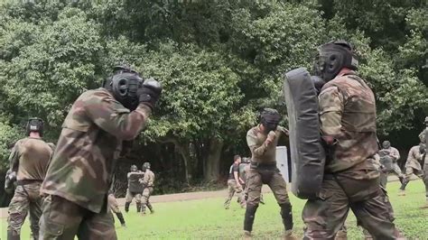 U S Marines Of 3rd Anglico And French Troupes De Marine In Tahiti