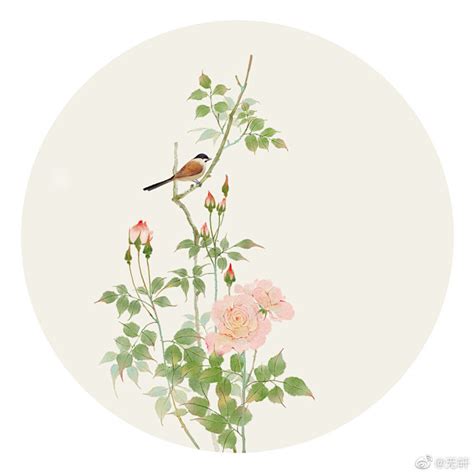 古风花鸟欣赏 作者：无轩