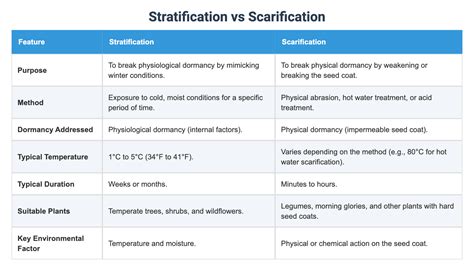 Stratification Vs Scarification
