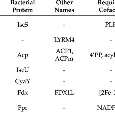 List Of Conserved Proteins Required For The Function Of The