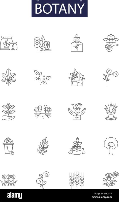 Botany Line Vector Icons And Signs Photosynthesis Reproduction