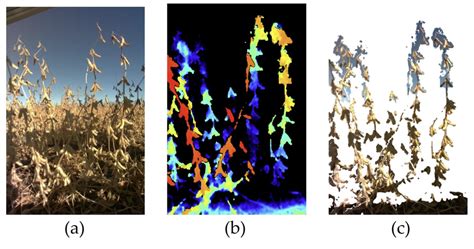 Sample Images From The Field Test Dataset These Three Images