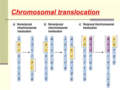 Mutation Breeding In Vegetable Crops Ppt
