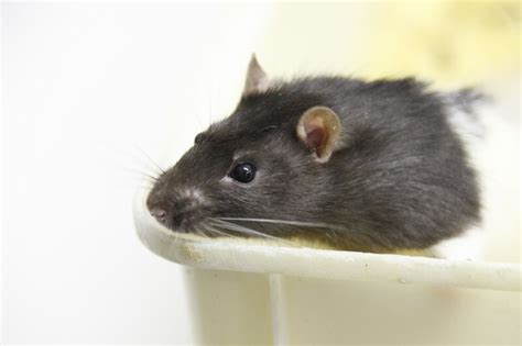 Microbrain Biotech Posted On Linkedin