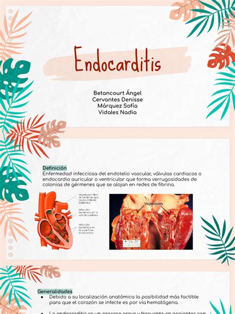 Endocarditis Pdf Especialidades Medicas Medicina Clinica