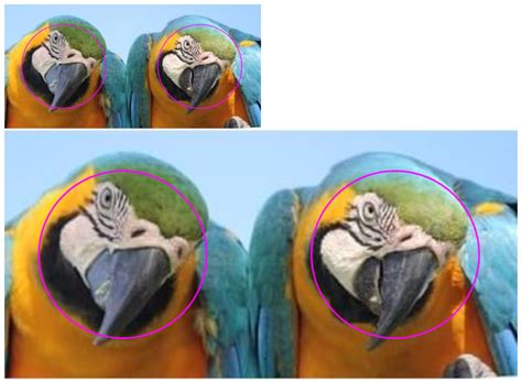 Image Hotspots Not Responsive To Stay In Same Position CSS Help PHP Freaks