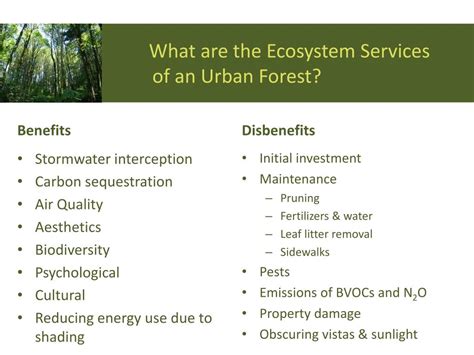 Street Tree Ecosystem Services At Julie Solberg Blog