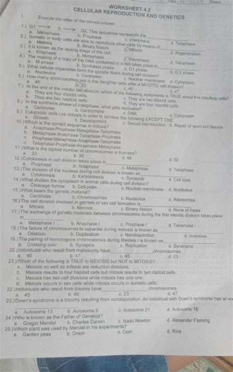 Cell Reproduction High School Biology Worksheets Vocabulary Sets Worksheets Library