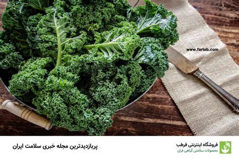 کلم کیل؛ انواع، خواص و نحوه مصرف این سبزی مغذی